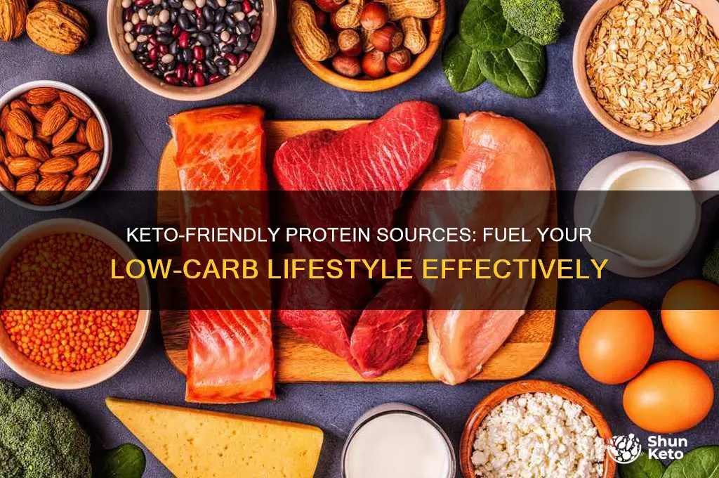 Keto-Friendly Protein Sources: Fuel Your Low-Carb Lifestyle Effectively ...