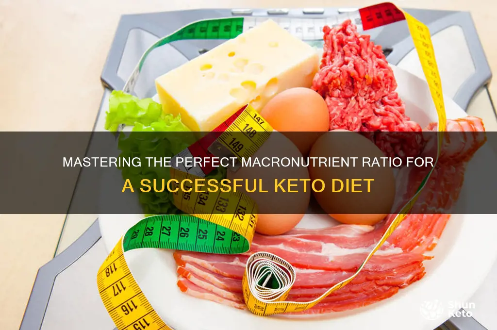 Mastering The Perfect Macronutrient Ratio For A Successful Keto Diet ...