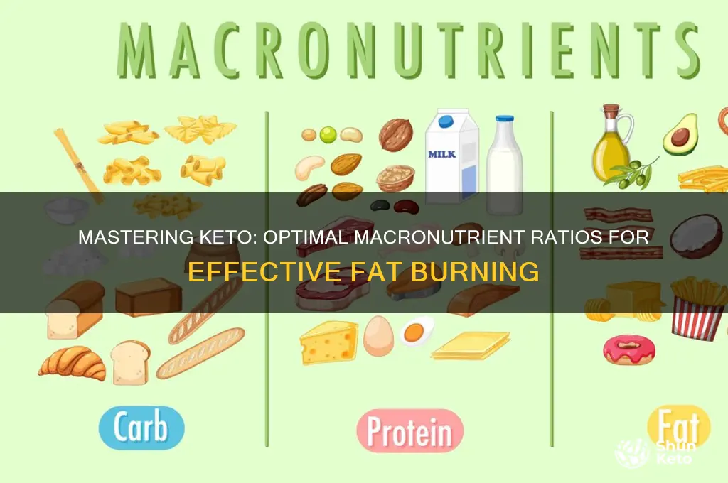 Mastering Keto: Optimal Macronutrient Ratios For Effective Fat Burning ...