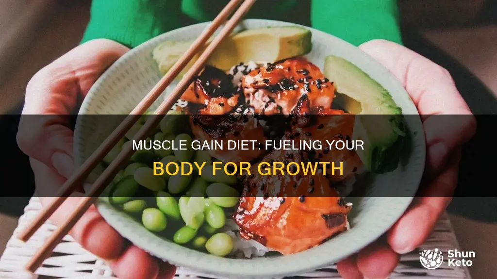 Muscle Gain Diet: Fueling Your Body For Growth | ShunKeto