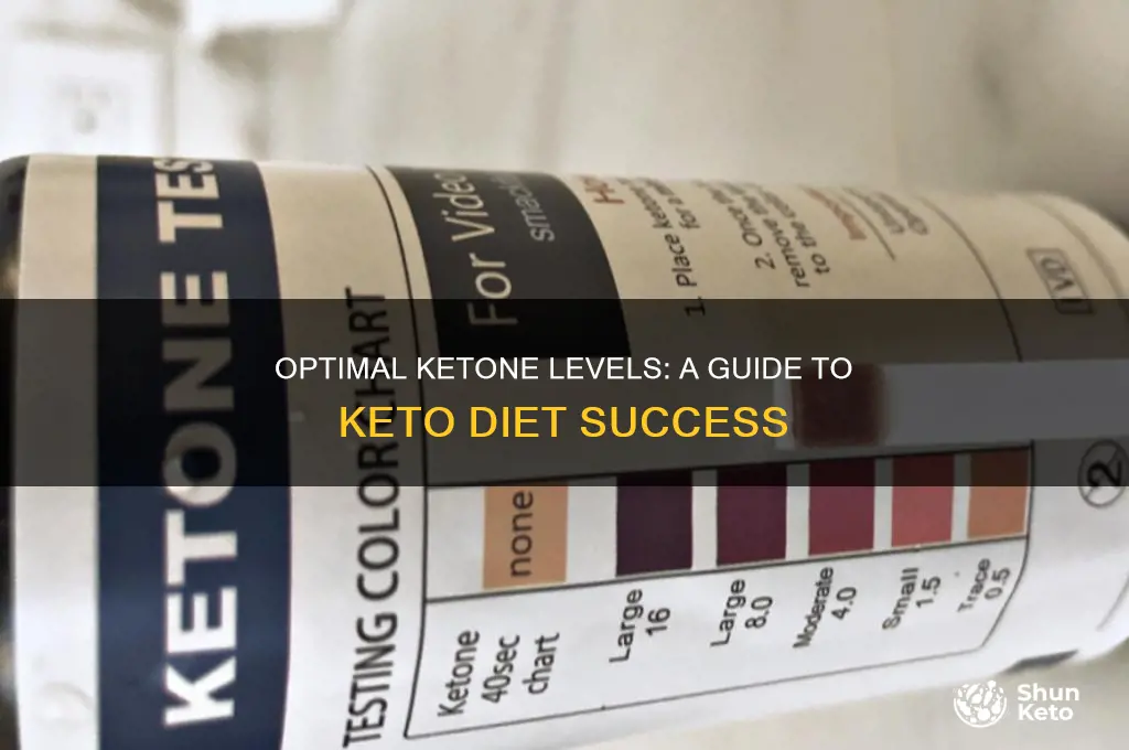 Optimal Ketone Levels: A Guide To Keto Diet Success | ShunKeto