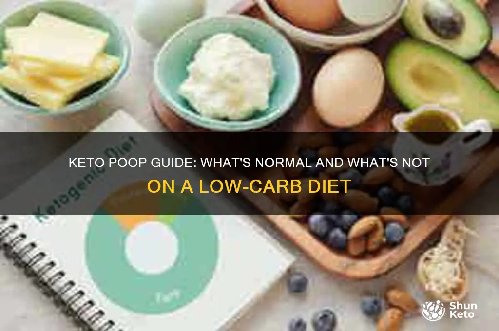 Keto Poop Guide: What's Normal And What's Not On A Low-Carb Diet | ShunKeto