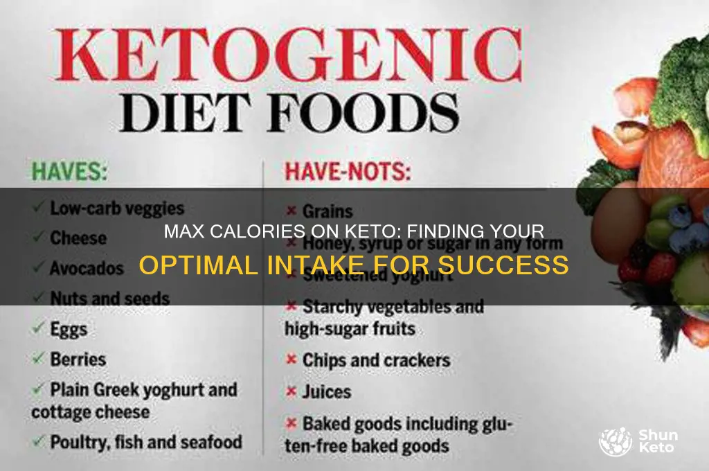 Max Calories On Keto: Finding Your Optimal Intake For Success | ShunKeto