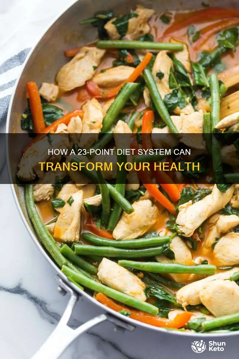 How A 23-Point Diet System Can Transform Your Health | ShunKeto