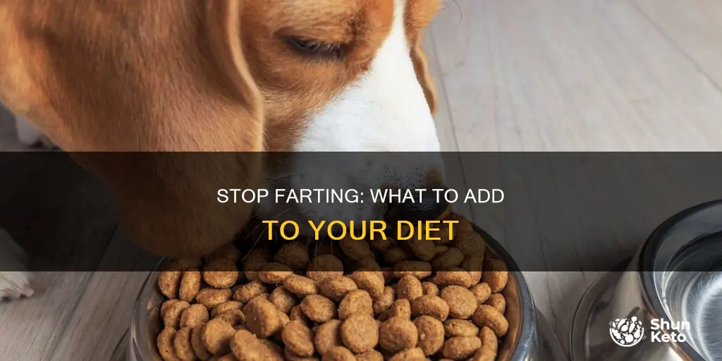 Stop Farting: What To Add To Your Diet | ShunKeto