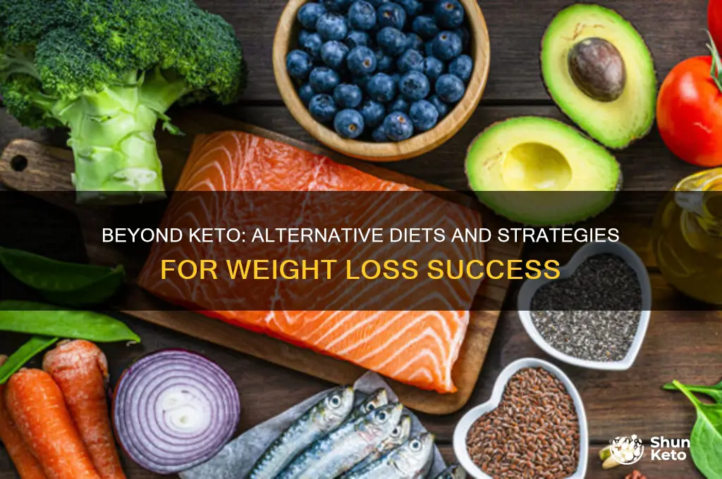 Beyond Keto: Alternative Diets And Strategies For Weight Loss Success ...