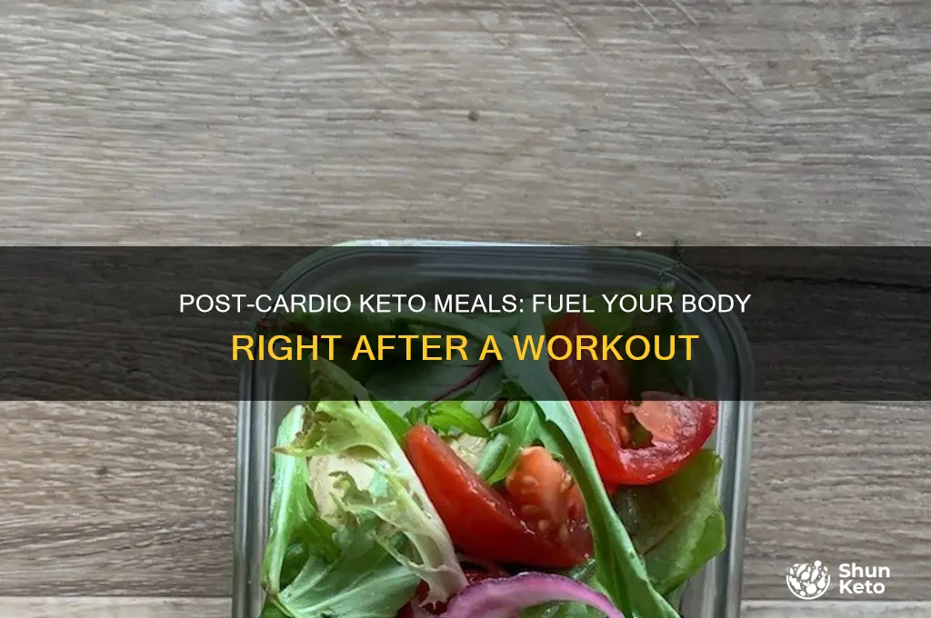 Post-Cardio Keto Meals: Fuel Your Body Right After A Workout | ShunKeto