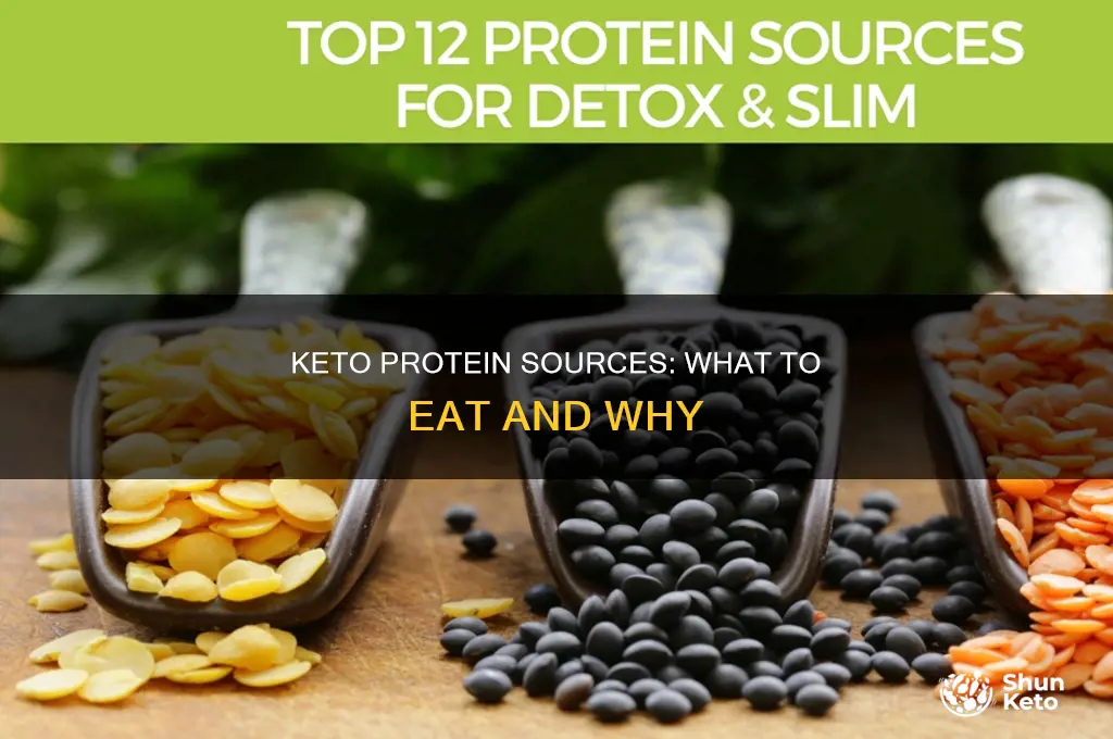 Keto Protein Sources: What To Eat And Why | ShunKeto