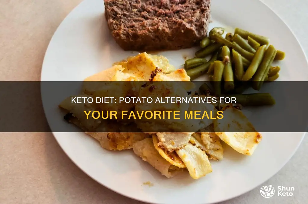 Keto Diet: Potato Alternatives For Your Favorite Meals | ShunKeto