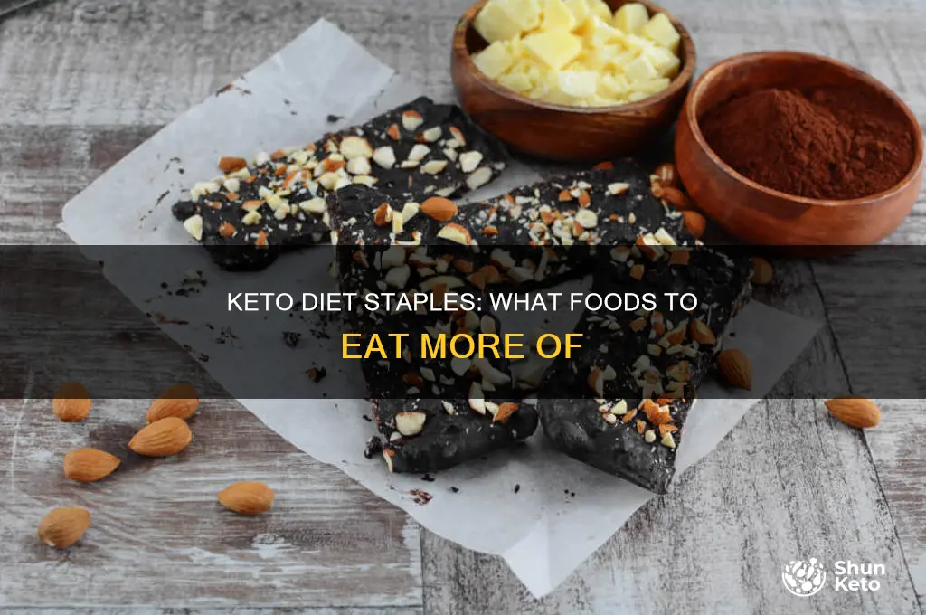 Keto Diet Staples: What Foods To Eat More Of | ShunKeto