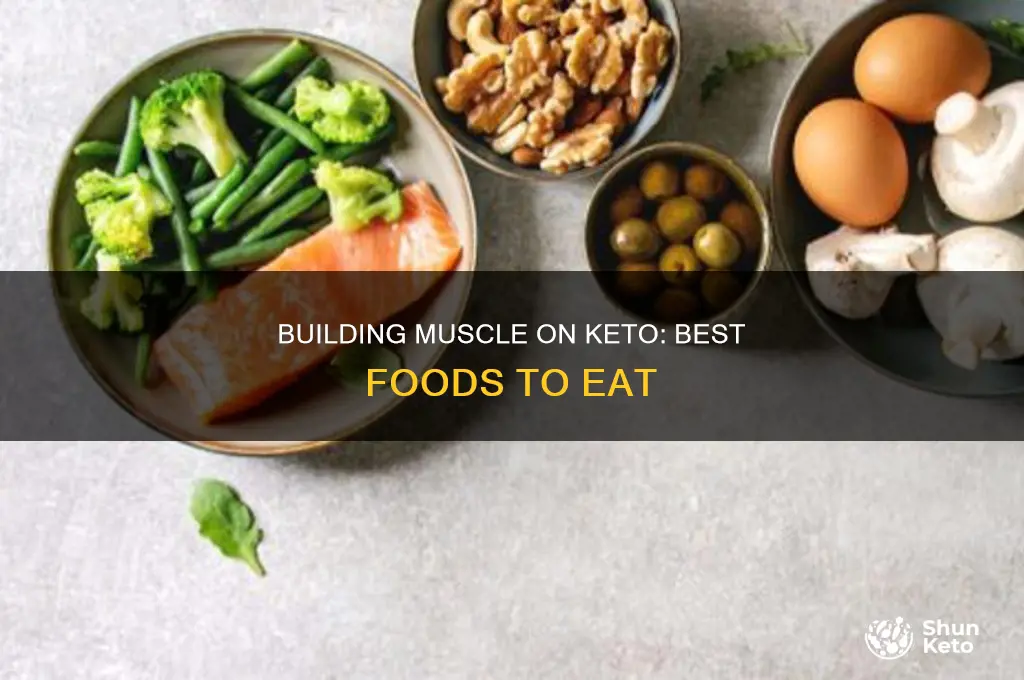 Building Muscle On Keto: Best Foods To Eat | ShunKeto