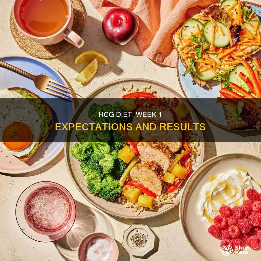 Hcg Diet: Week 1 Expectations And Results | ShunKeto