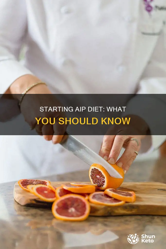 Starting Aip Diet: What You Should Know | ShunKeto
