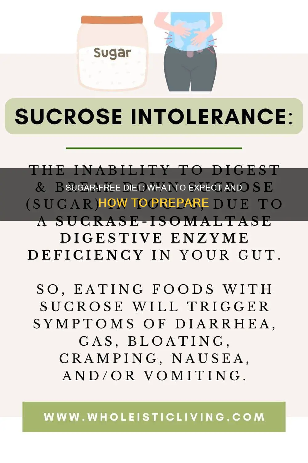 Sugar-Free Diet: What To Expect And How To Prepare | ShunKeto