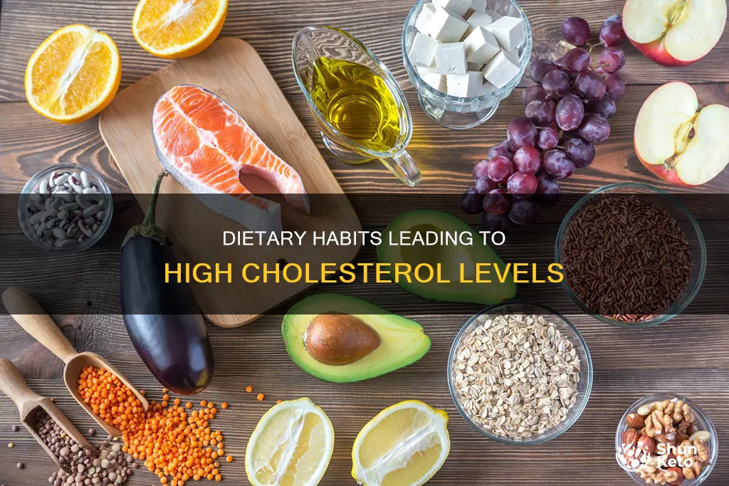 Dietary Habits Leading To High Cholesterol Levels | ShunKeto