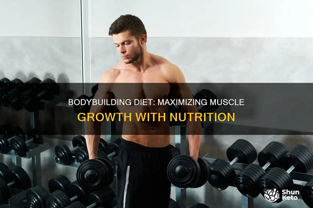 Bodybuilding Diet: Maximizing Muscle Growth With Nutrition | ShunKeto