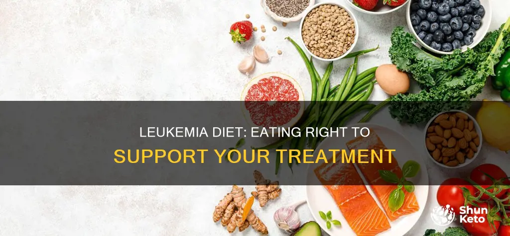Leukemia Diet: Eating Right To Support Your Treatment | ShunKeto