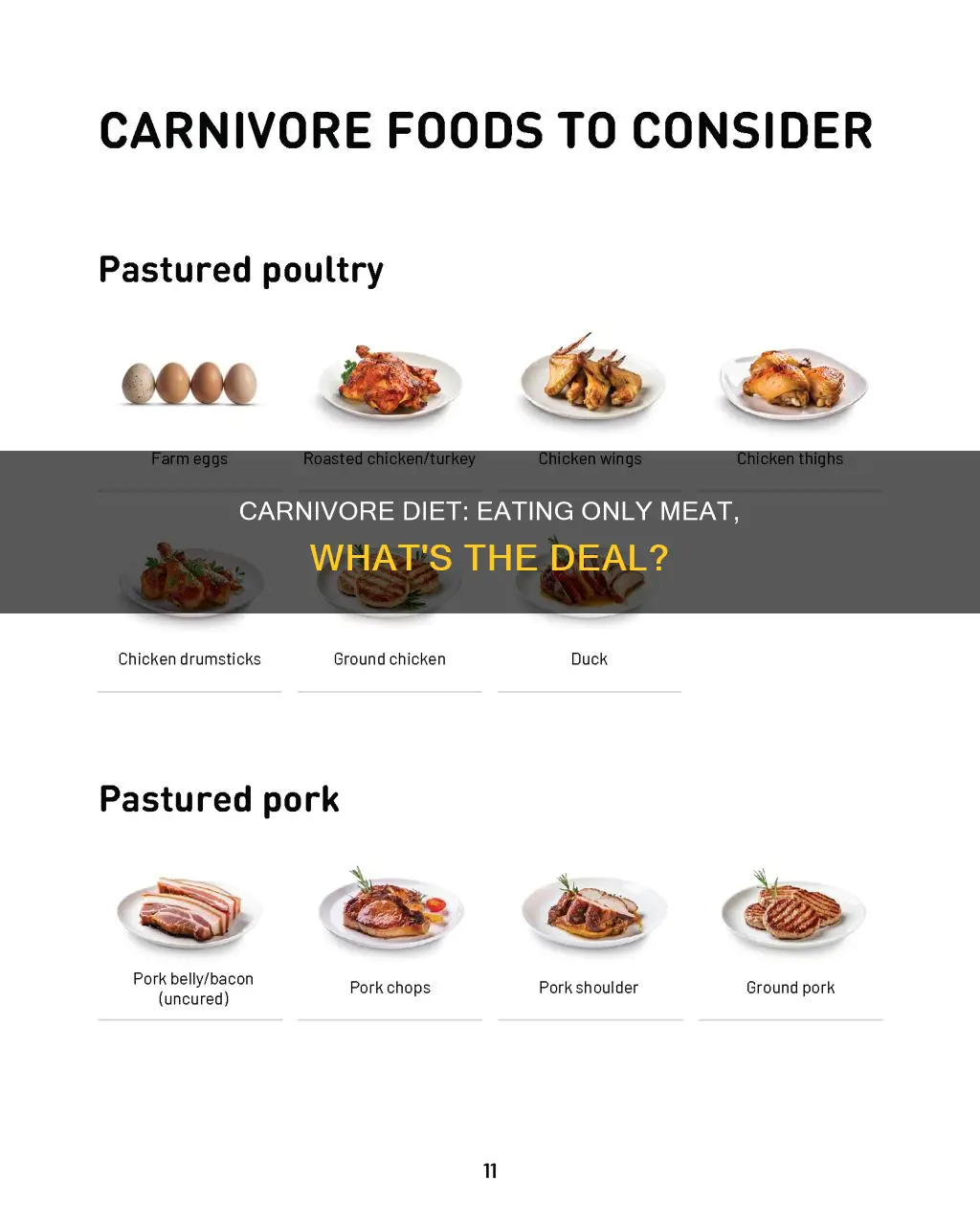 Carnivore Diet: Eating Only Meat, What's The Deal? | ShunKeto