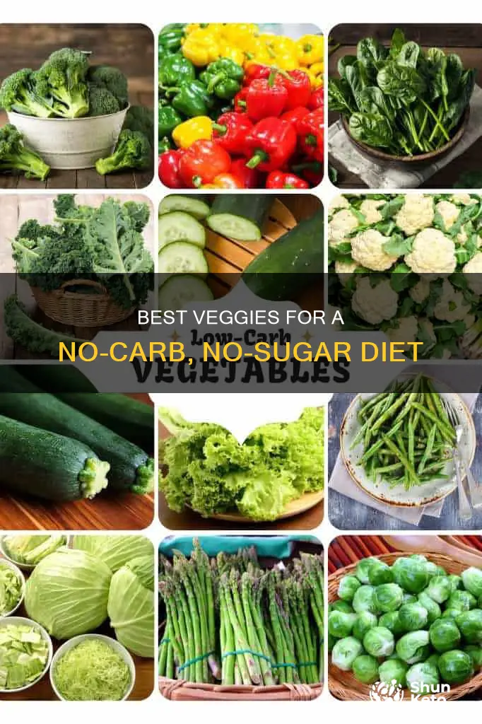 Best Veggies For A No-Carb, No-Sugar Diet | ShunKeto