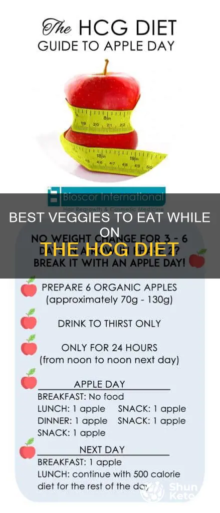 Best Veggies To Eat While On The Hcg Diet | ShunKeto