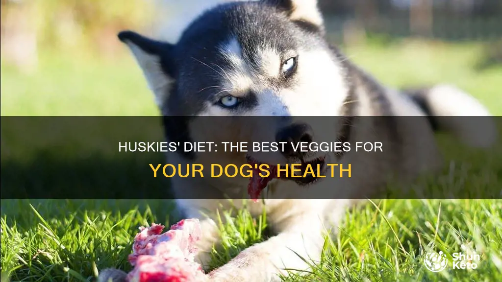 Huskies' Diet: The Best Veggies For Your Dog's Health | ShunKeto