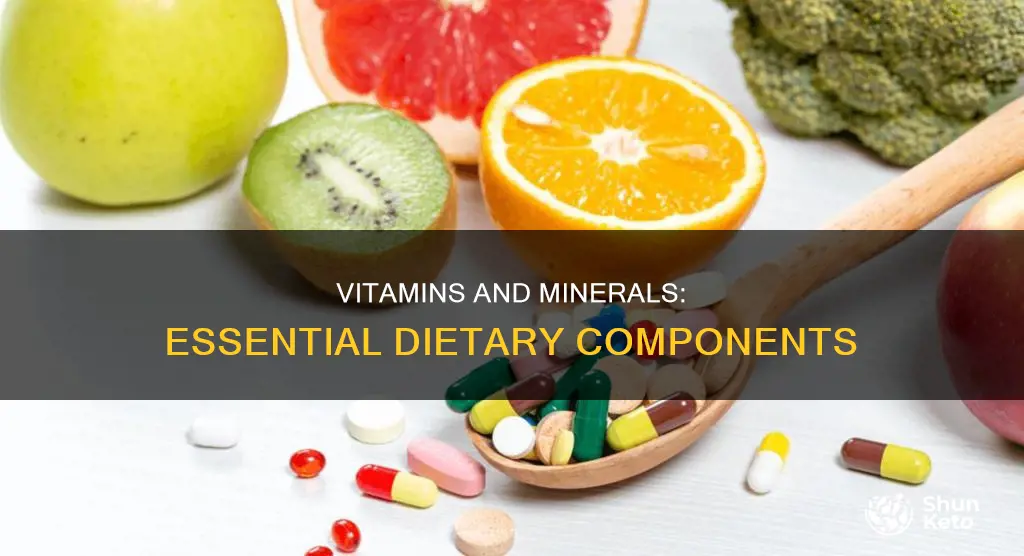 Vitamins And Minerals: Essential Dietary Components | ShunKeto