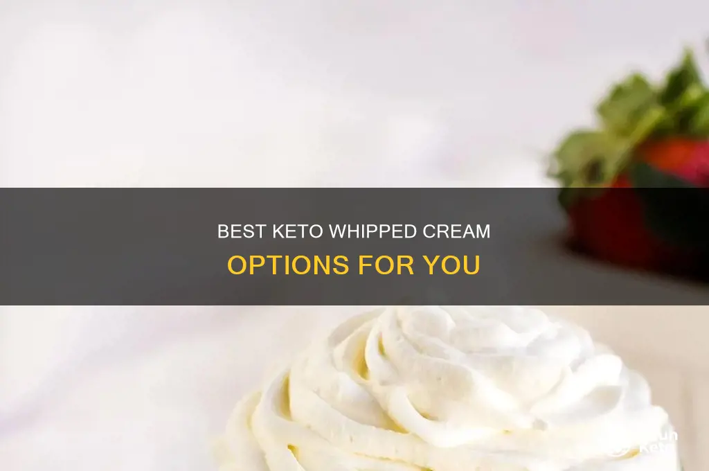 Best Keto Whipped Cream Options For You | ShunKeto