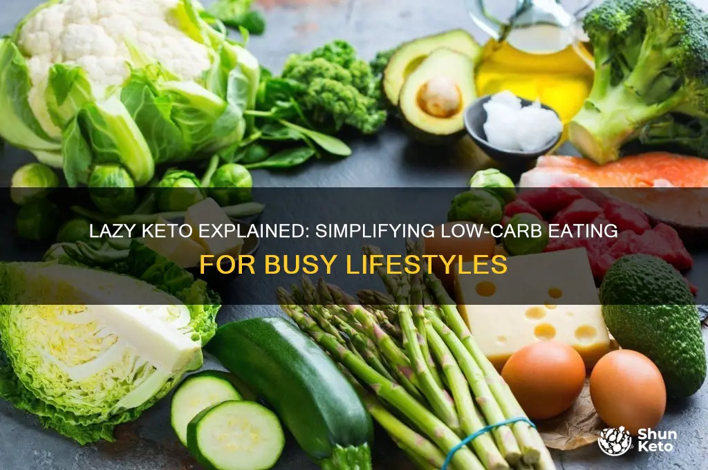 Lazy Keto Explained: Simplifying Low-Carb Eating For Busy Lifestyles ...