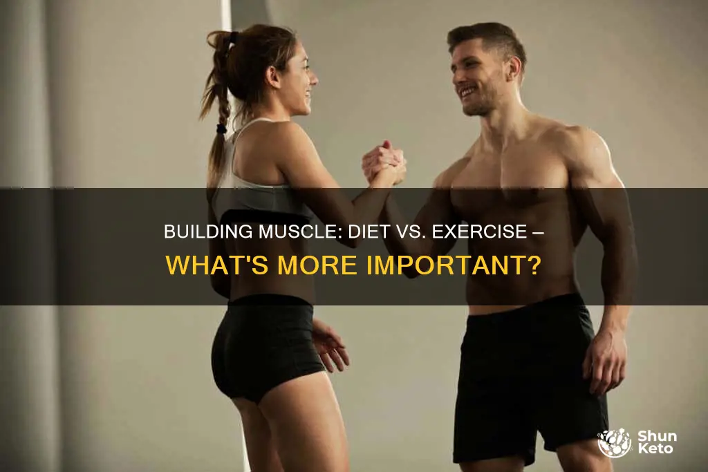Building Muscle: Diet Vs. Exercise — What's More Important? | ShunKeto