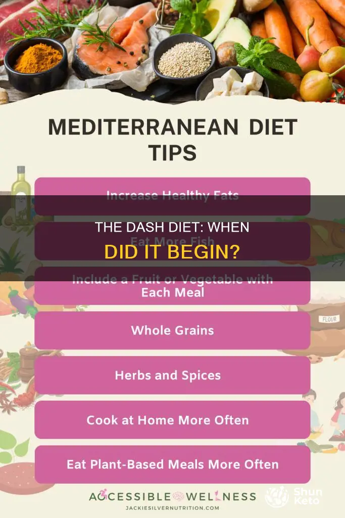 The Dash Diet: When Did It Begin? | ShunKeto