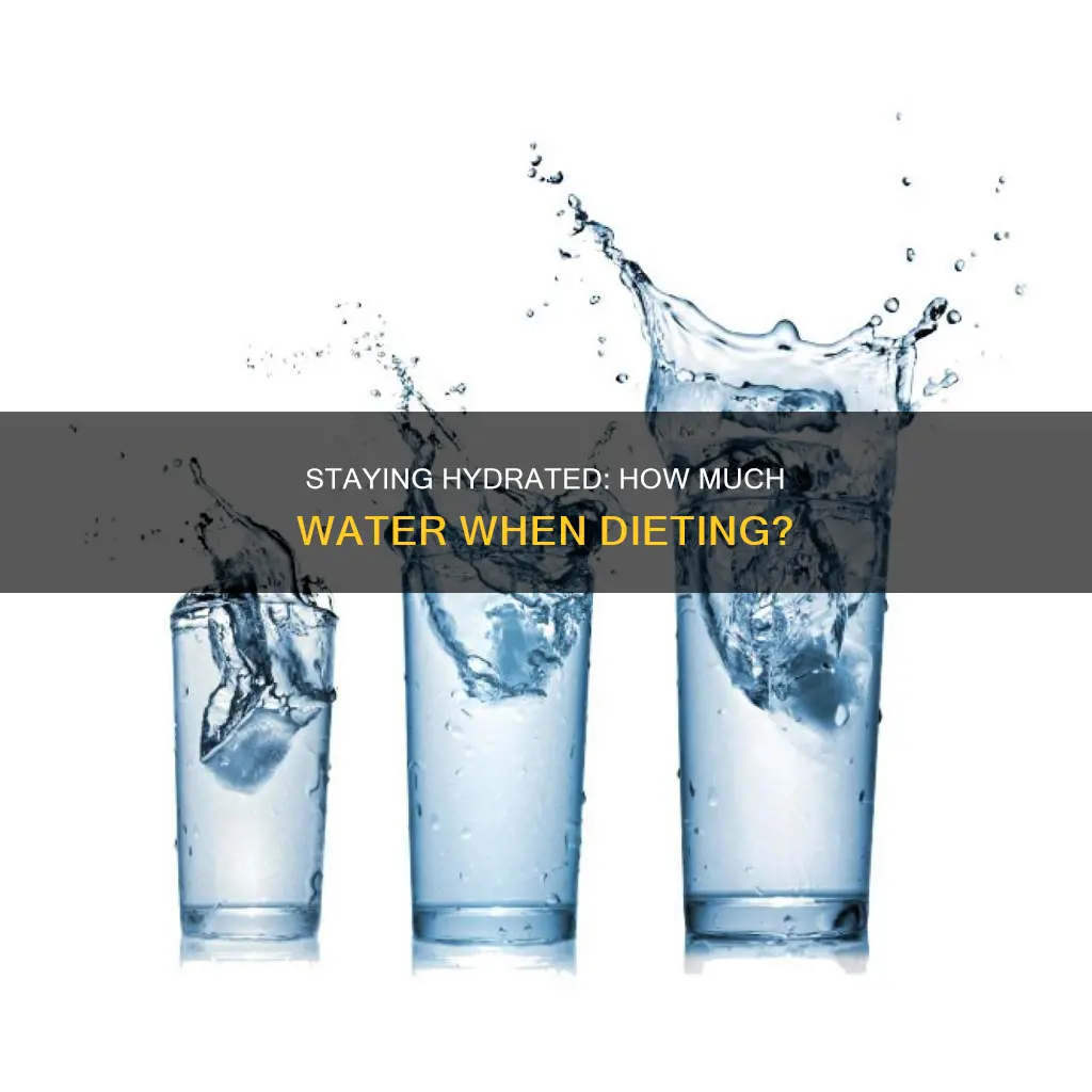 Staying Hydrated: How Much Water When Dieting? | ShunKeto
