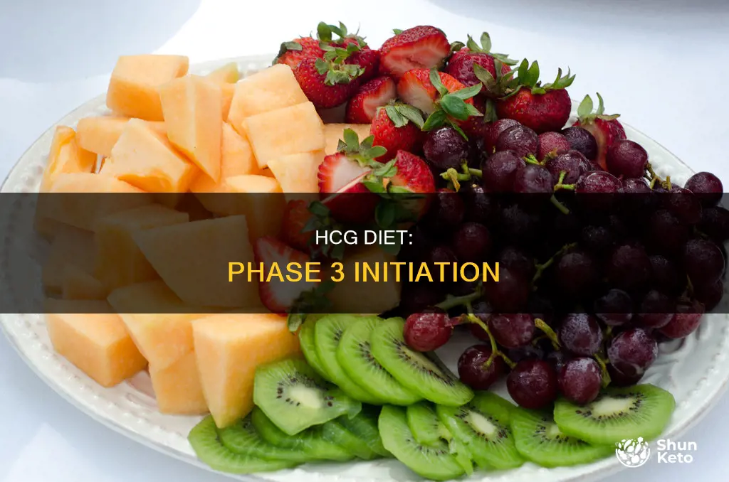 Hcg Diet: Phase 3 Initiation | ShunKeto