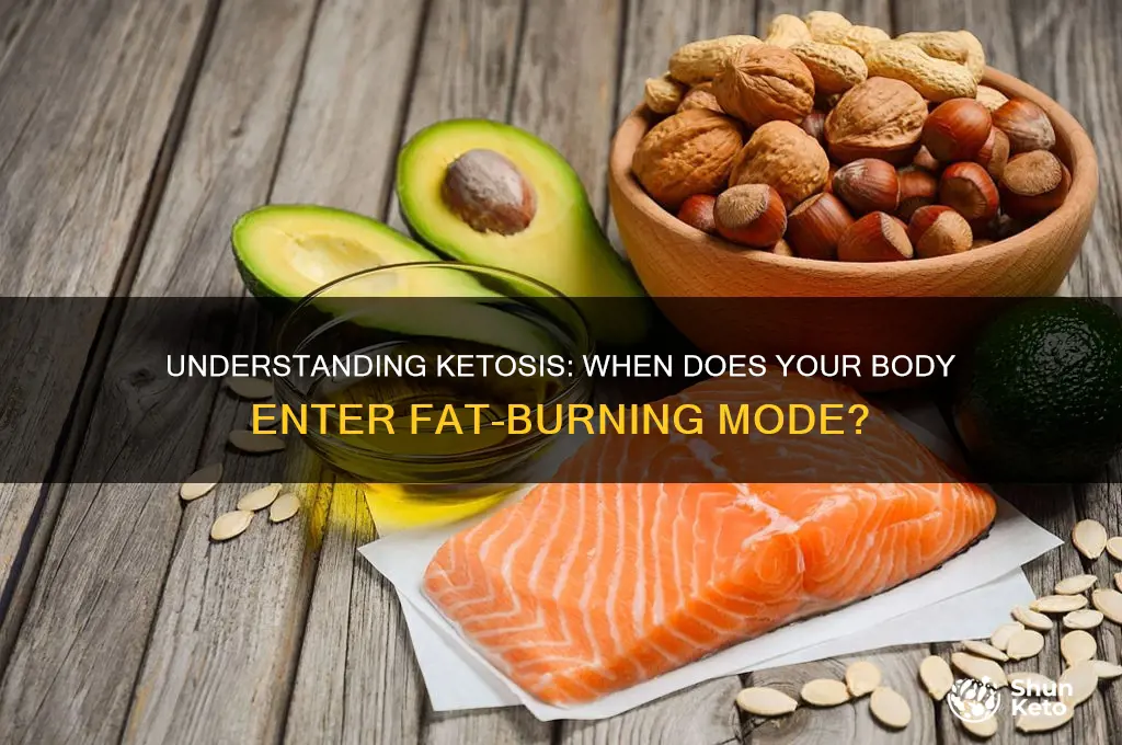 Understanding Ketosis: When Does Your Body Enter Fat-Burning Mode ...