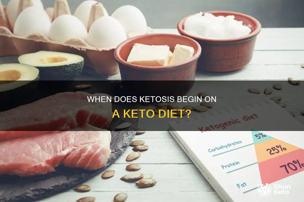 When Does Ketosis Begin On A Keto Diet? | ShunKeto