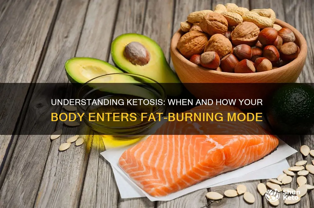 Understanding Ketosis: When And How Your Body Enters Fat-Burning Mode ...