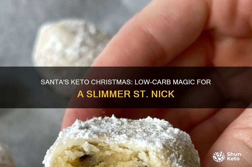 Santa's Keto Christmas: Low-Carb Magic For A Slimmer St. Nick | ShunKeto