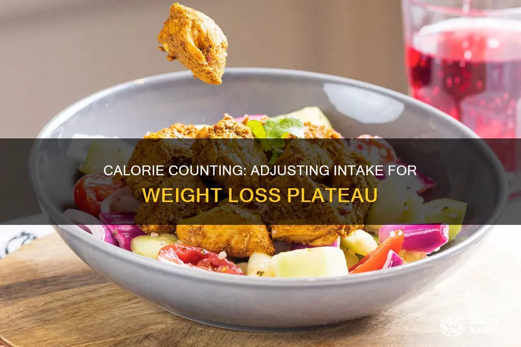 Calorie Counting: Adjusting Intake For Weight Loss Plateau | ShunKeto