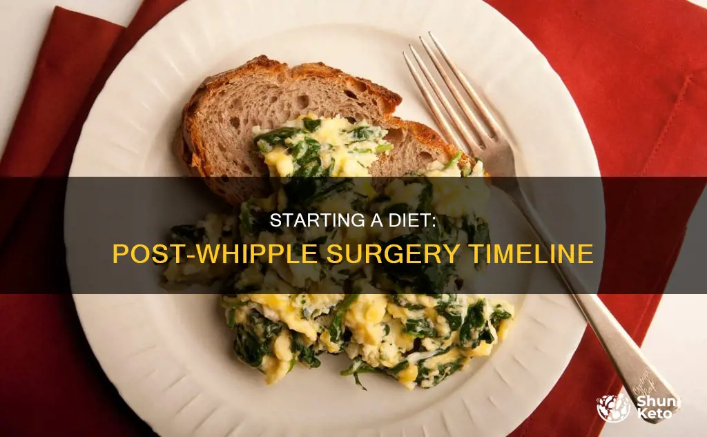 Starting A Diet: Post-Whipple Surgery Timeline | ShunKeto