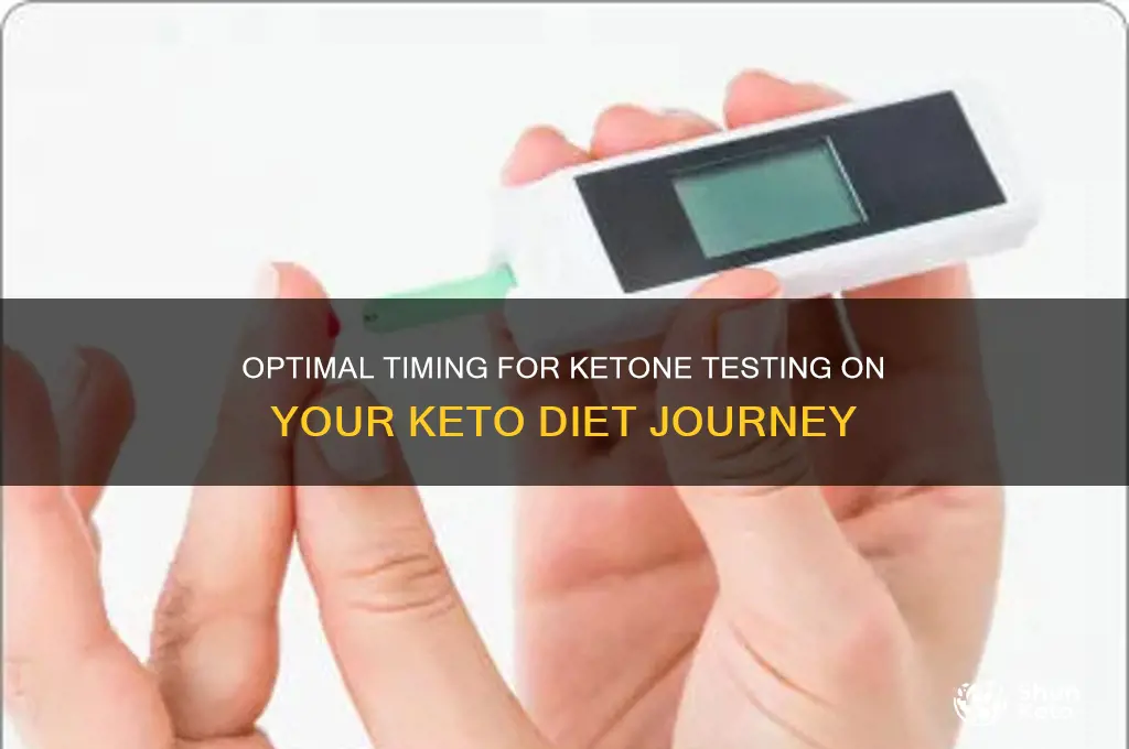 Optimal Timing For Ketone Testing On Your Keto Diet Journey | ShunKeto