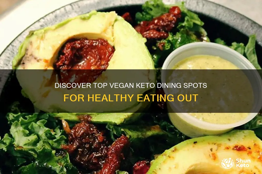 Discover Top Vegan Keto Dining Spots For Healthy Eating Out | ShunKeto