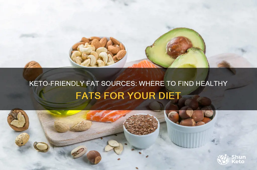Keto-Friendly Fat Sources: Where To Find Healthy Fats For Your Diet ...