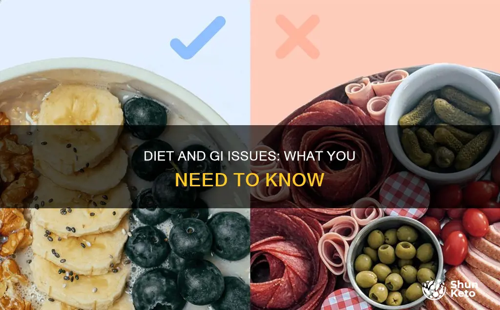 Diet And Gi Issues: What You Need To Know | ShunKeto