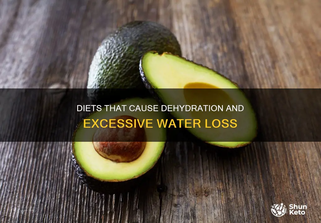 Diets That Cause Dehydration And Excessive Water Loss | ShunKeto