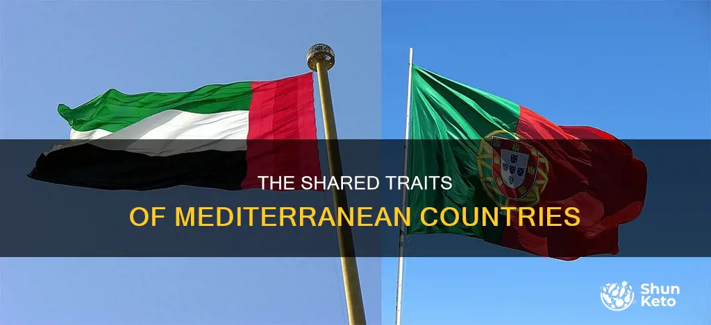 The Shared Traits Of Mediterranean Countries | ShunKeto