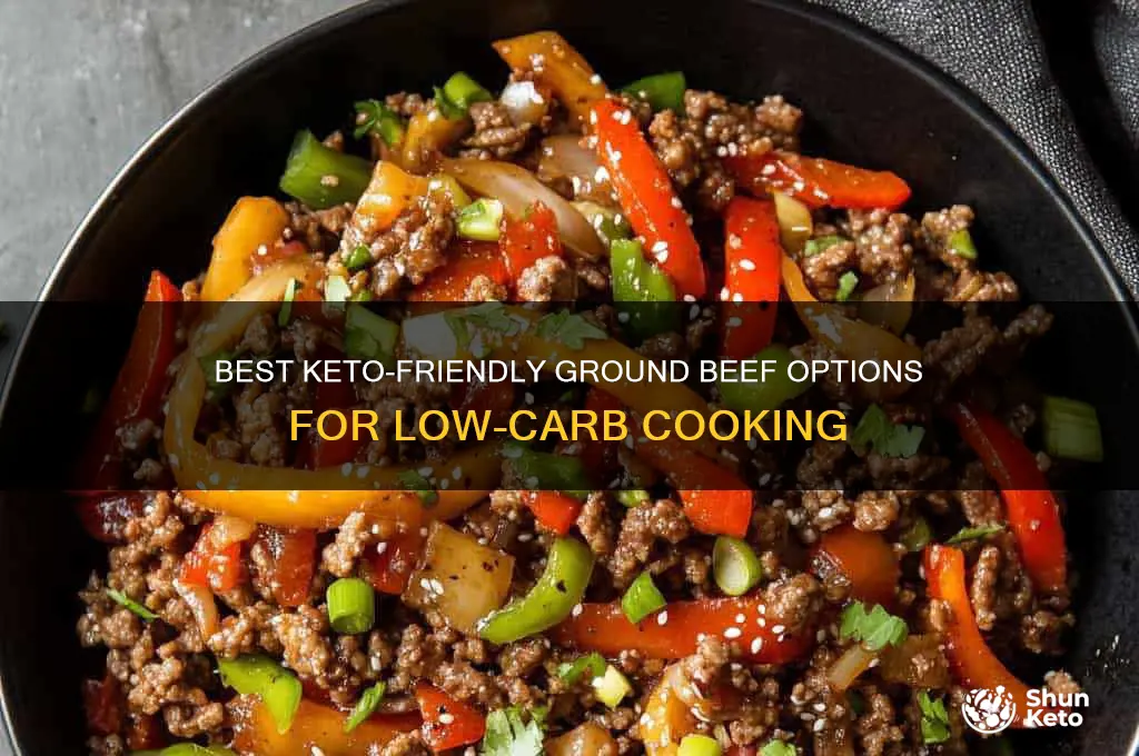 Best Keto-Friendly Ground Beef Options For Low-Carb Cooking | ShunKeto