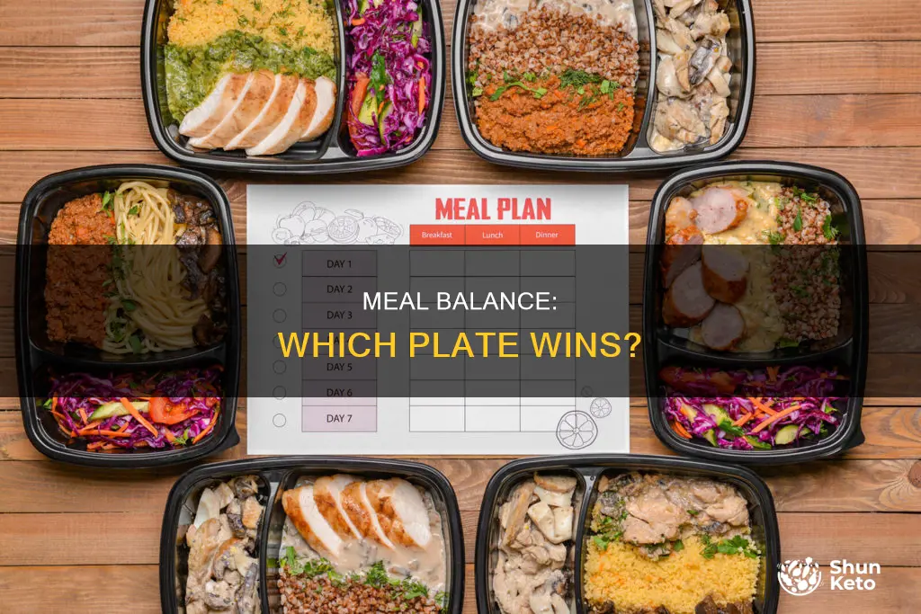 Meal Balance: Which Plate Wins? | ShunKeto