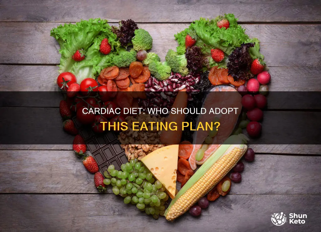 Cardiac Diet: Who Should Adopt This Eating Plan? | ShunKeto