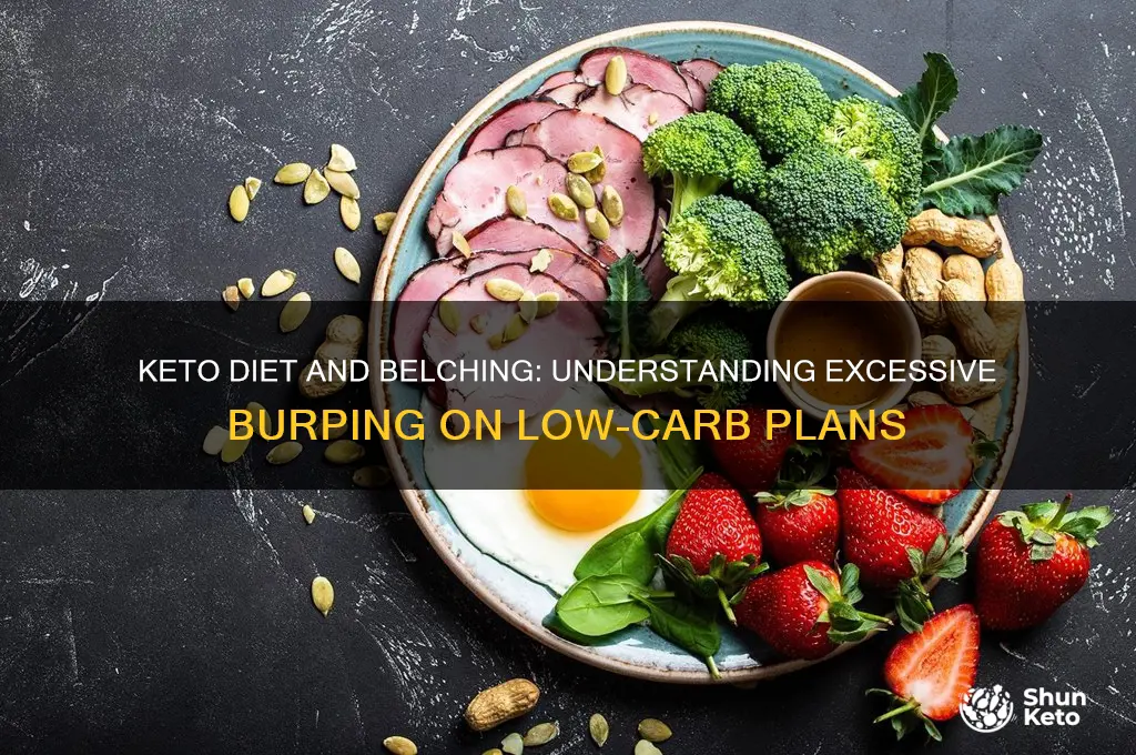 Keto Diet And Belching: Understanding Excessive Burping On Low-Carb ...