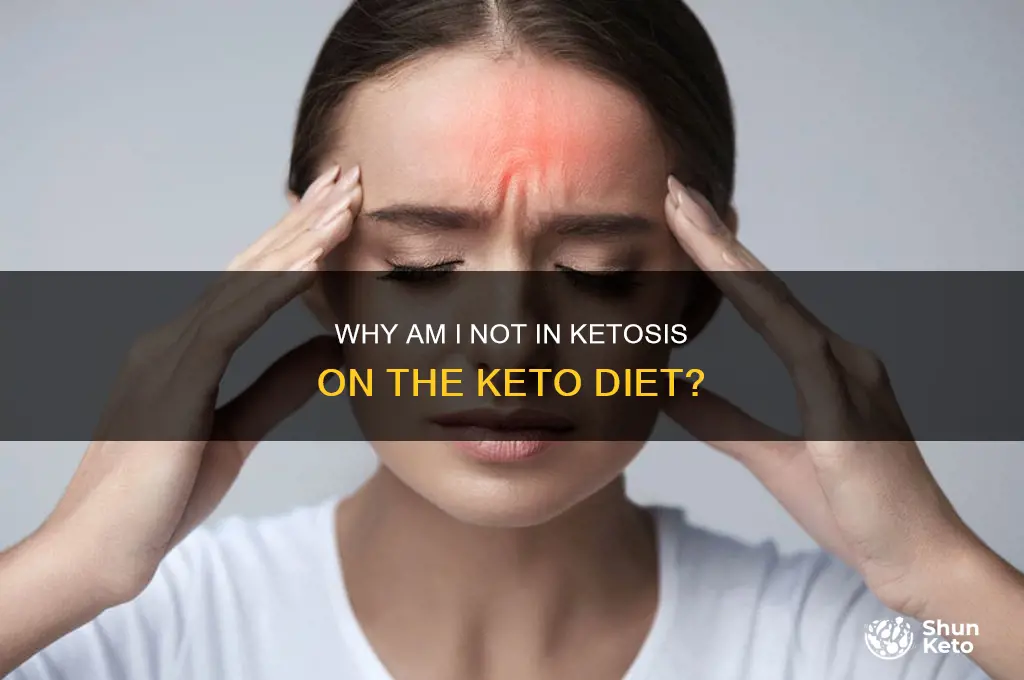 Why Am I Not In Ketosis On The Keto Diet? | ShunKeto