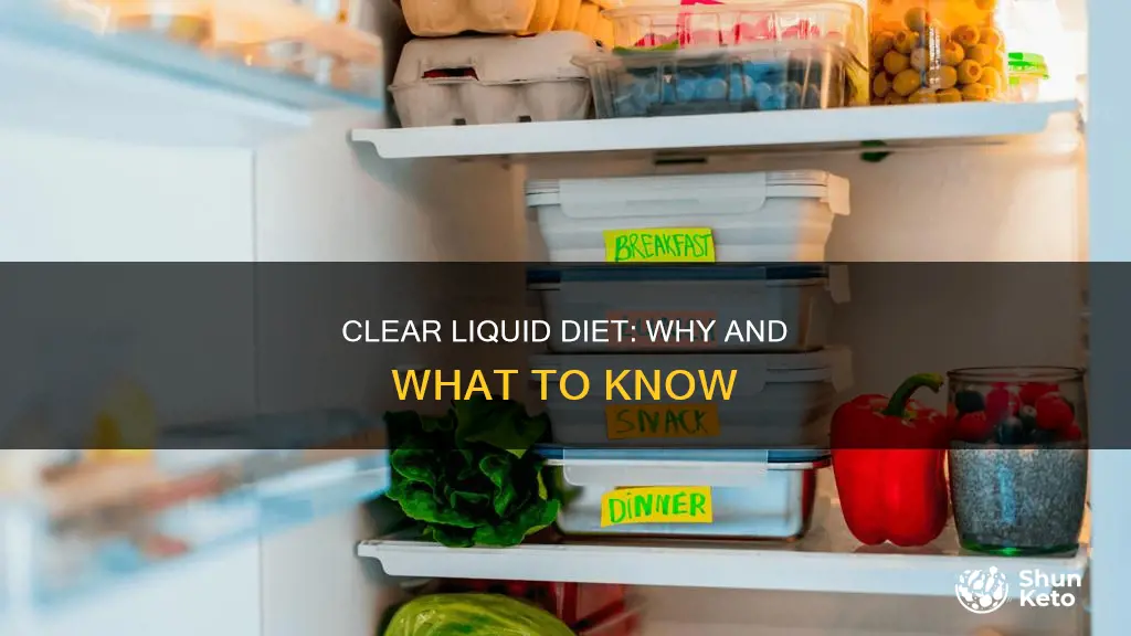 Clear Liquid Diet: Why And What To Know | ShunKeto